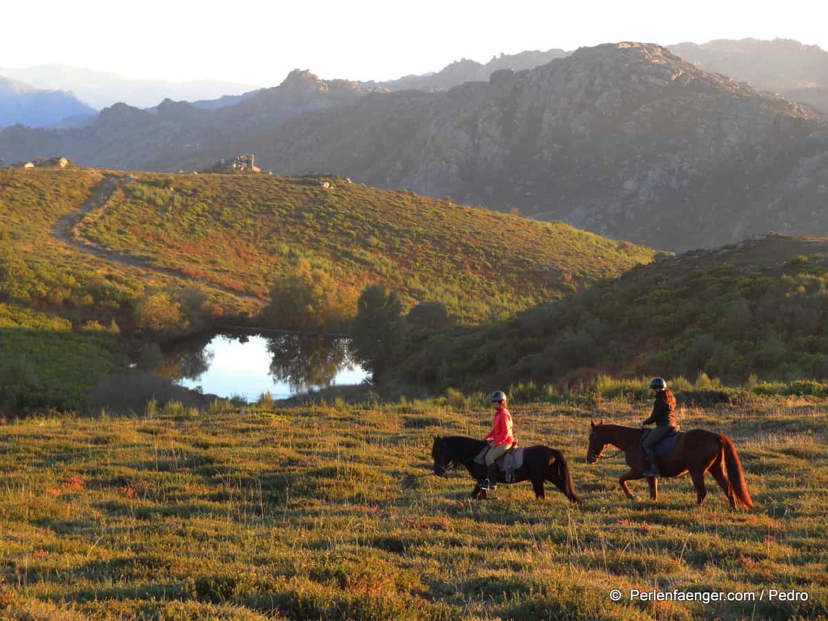 Reitertour in Portugal - Zu Garrano Wildpferden im Wolfsterritorium