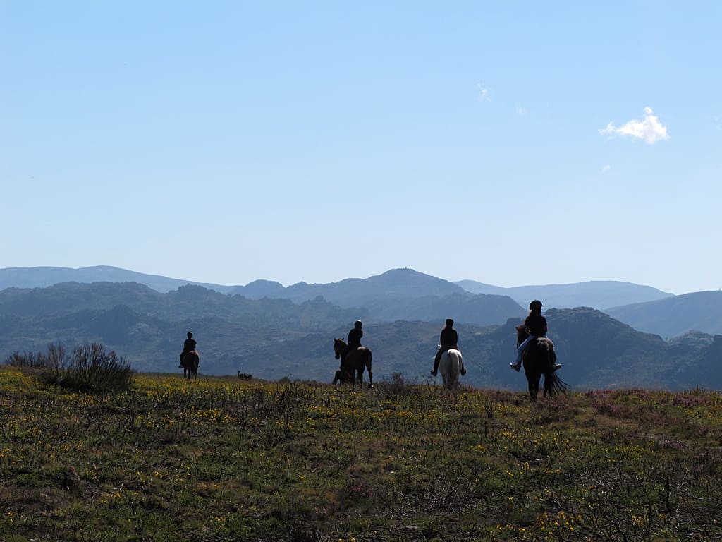Reitertour in Portugal - Zu Garrano Wildpferden im Wolfsterritorium