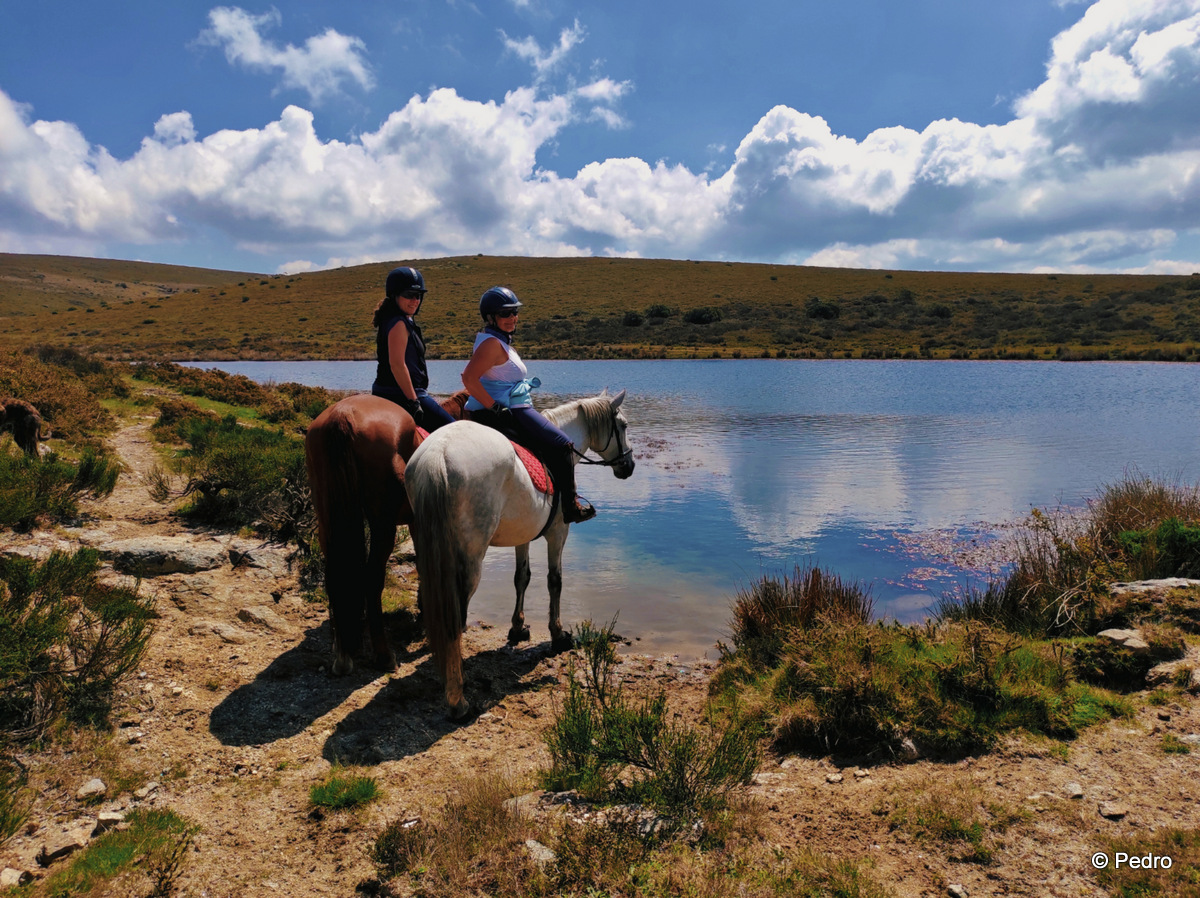 Reitertour in Portugal - Zu Garrano Wildpferden im Wolfsterritorium