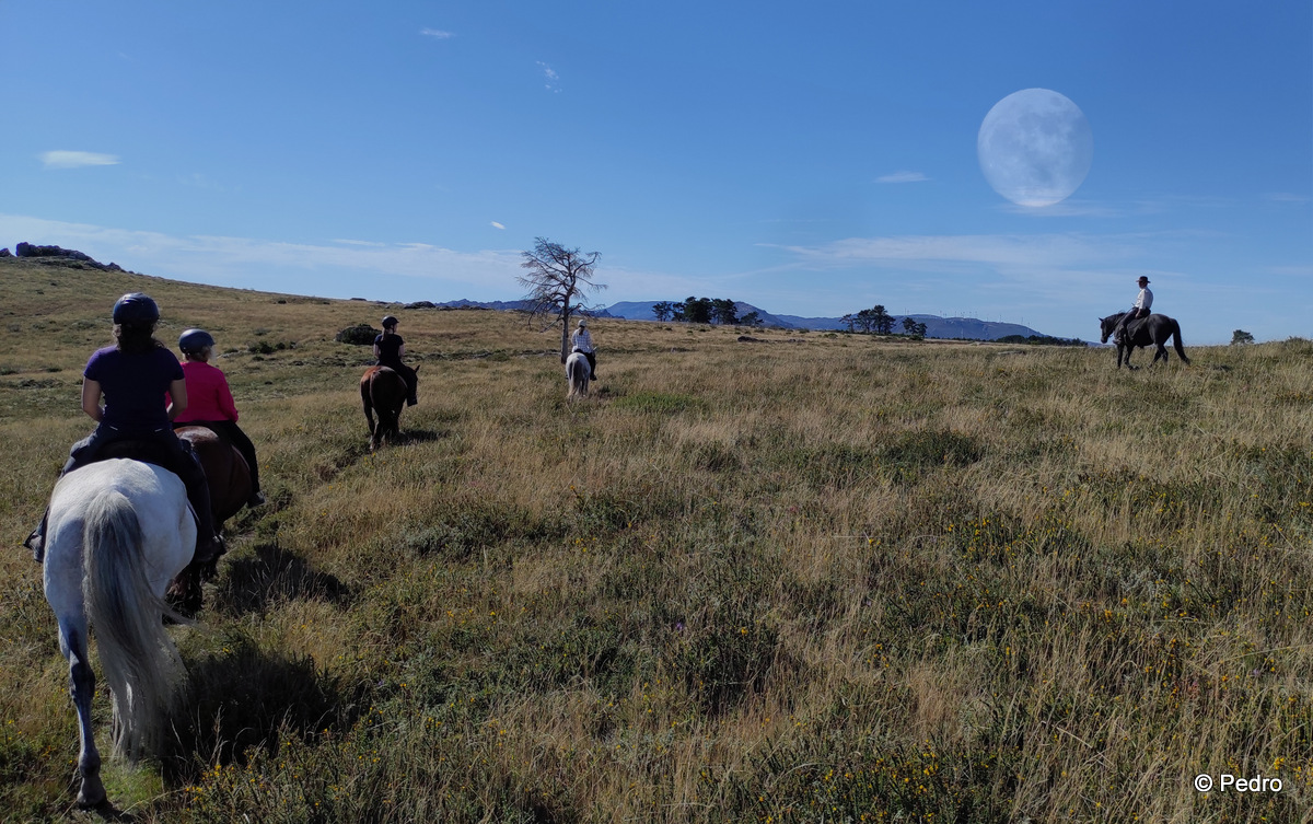Reitertour in Portugal - Zu Garrano Wildpferden im Wolfsterritorium